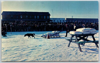 The One Dog Pull Contest, Yukon Territory, Canada - Postcard | eBay