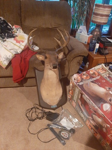 GEMMY Singing Buck Deer Head with Mic, Remote & Wall Mount like Billy ...