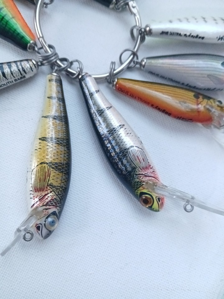 BAGLEY SALEMANS SAMPLE FISHING LURE | eBay