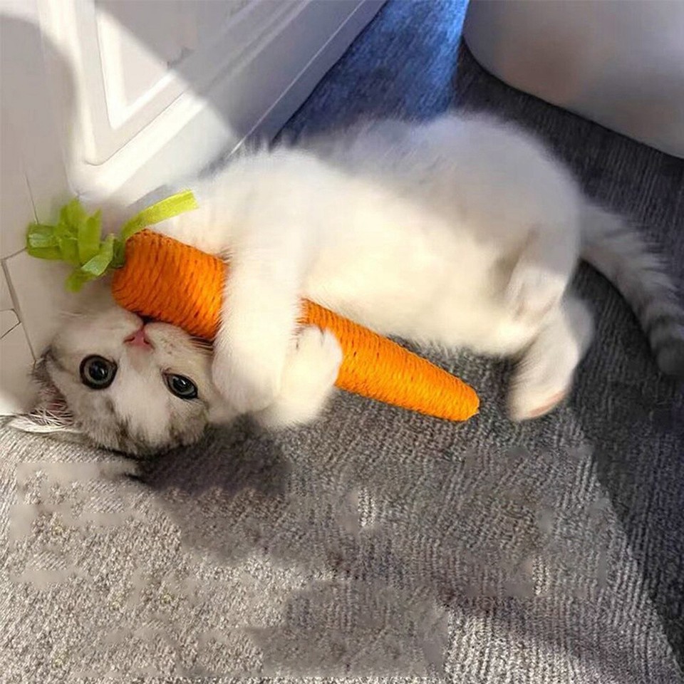 Katzenspielzeug Sound Carrot Cuddle- Stick Since Fun Fun BeißStab ...