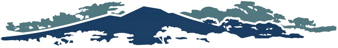 2 2004 KEYSTONE COUGAR RV GRAPHICS DECALS -1504 | eBay