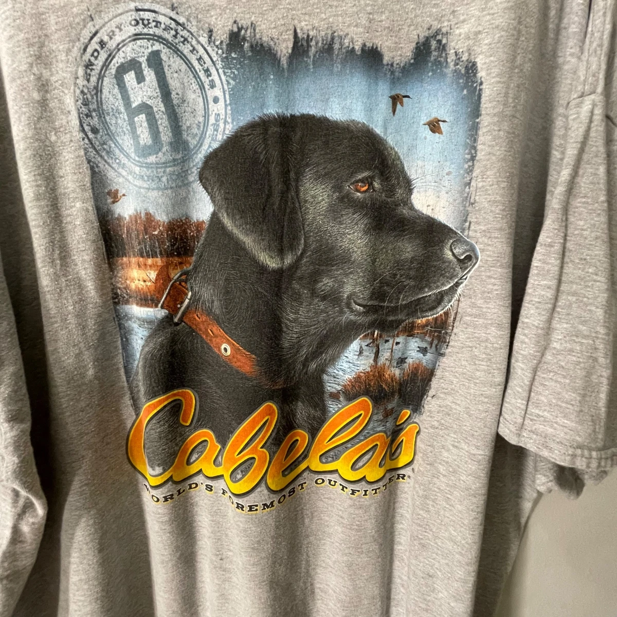 Black Labrador Retriever Hunting