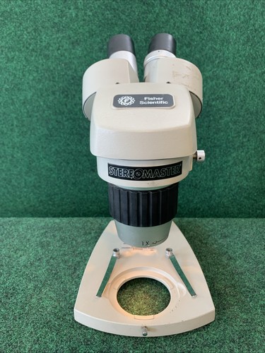 Fisher Scientific Stereomaster II Microscope SPT-IH W/ SW10X Eyepieces ...