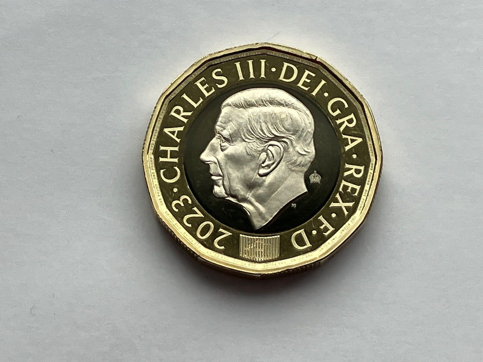 PROOF COIN 2023 1 ONE POUND BEES SPECIAL PRIVY IN HAND SOLD OUT | eBay UK