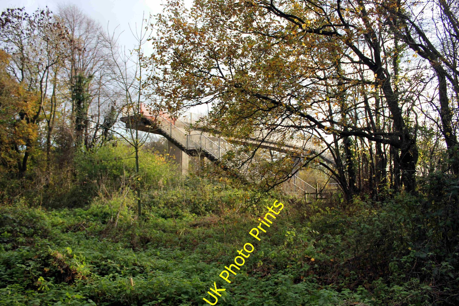 Photo A2 Bretton Wood Bretton/SJ3563 The footbridge over the A55 as see ...