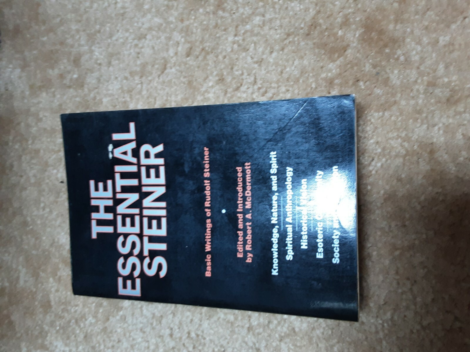 Essential Rudolf Steiner Paperback Robert A. McDermott. 19 ...