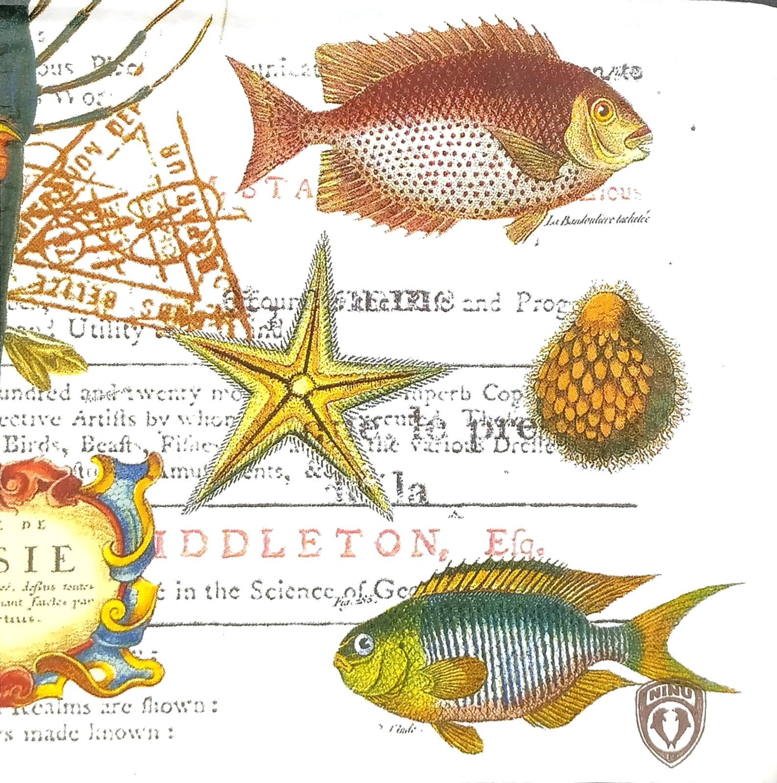 R870# 3 x Single Paper Napkins For Decoupage Fish Shell Pattern Marine ...