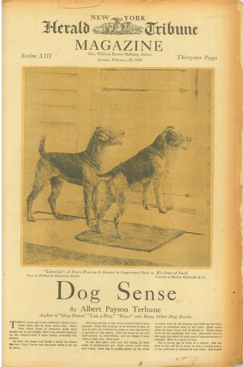 Albert Terhune Carlo Sforza Violet Oakley art Charles Paddock February ...