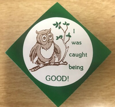 Caught Being Good Stickers - Packs of 50 | eBay
