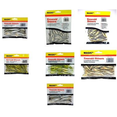 Magic Products Preserved Emerald Shiner Minnow | eBay