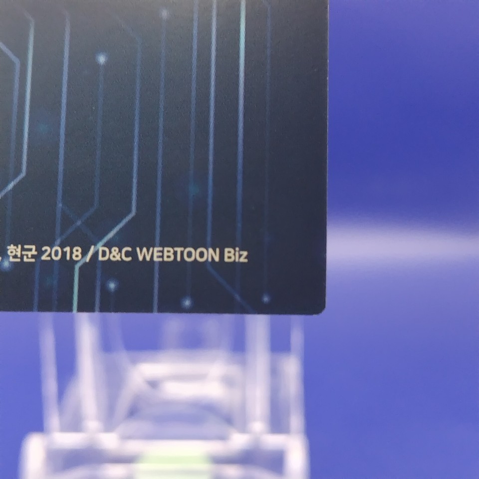 Norma Selner Solo Leveling Korean D&C Media Licensed Card From Japan SL ...