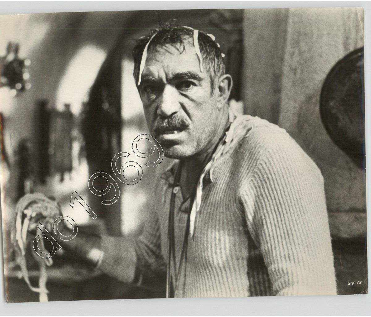 Antony Quinn 10 Top Suggestions For Anthony Quinn Bay | Discover D1