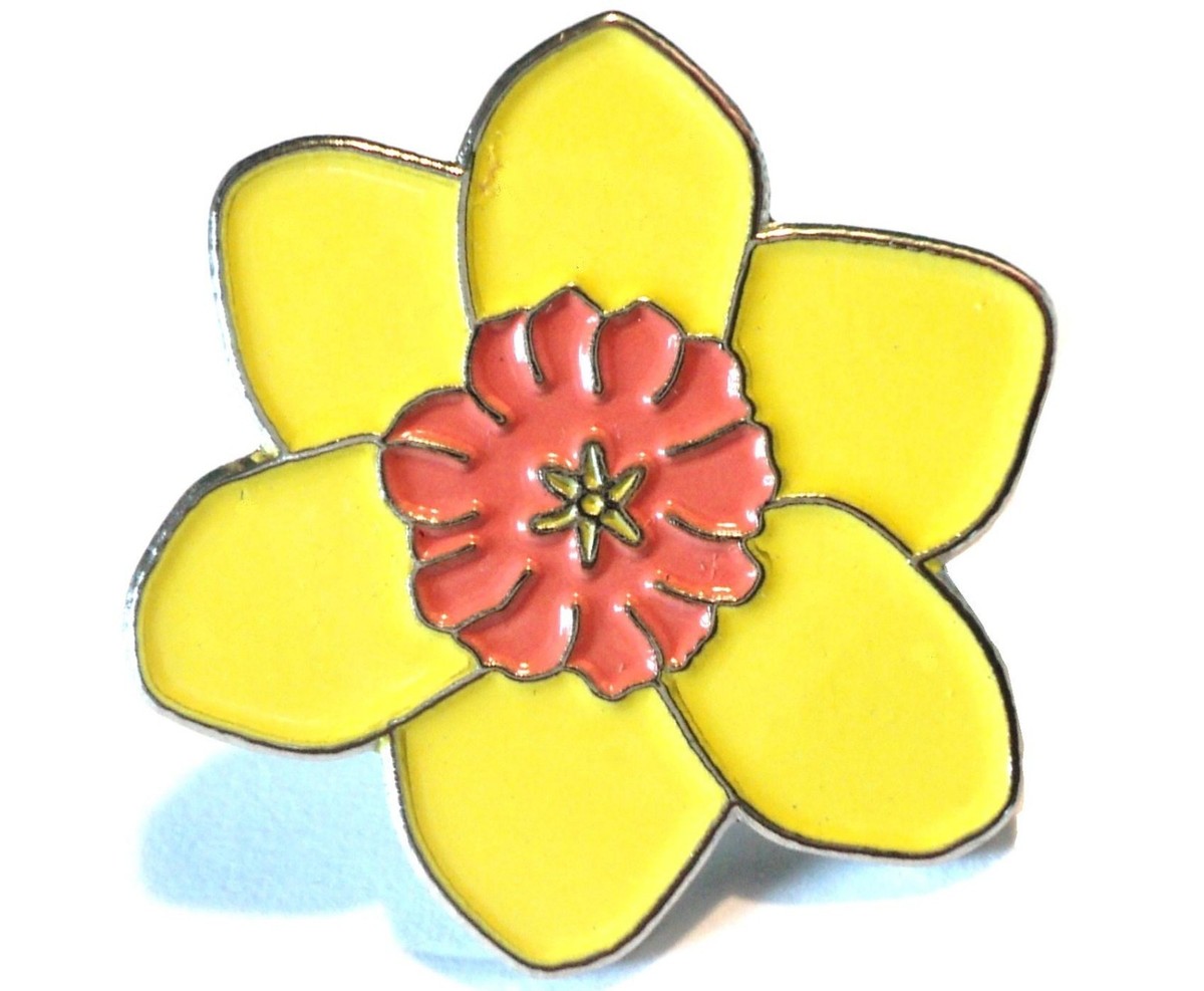 Welsh Flower Drawing