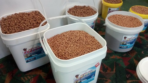 SPECIAL! 20L WHITING Burley Hurley Berley With 100% Tuna Oil. Get ready ...