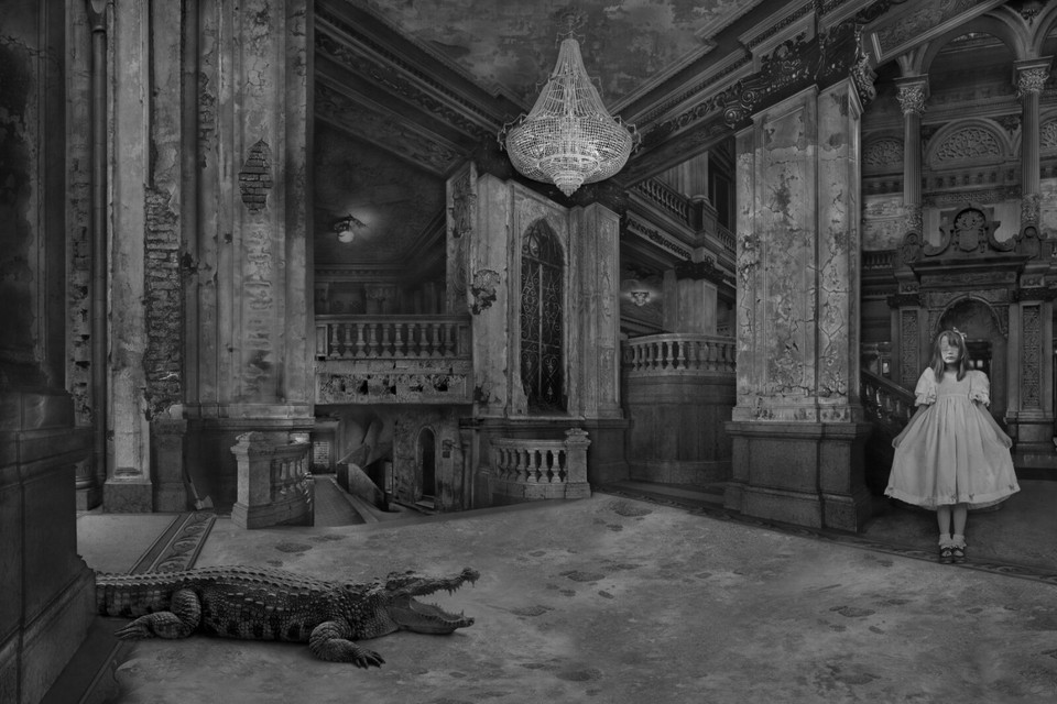 Fine Art Photography Signed Ltd Edition Crocodile & Little Girl by ...