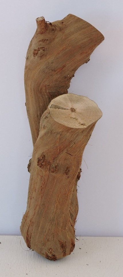 9" Grapevine Wood Stick Log Driftwood Natural Decor Crafts U Crooked 1 ...