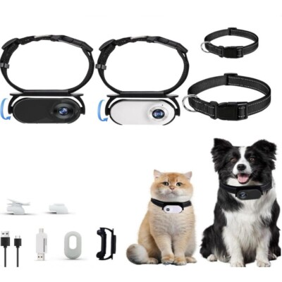 1080P A pet collar camera for Pets Supplies Indoor Outdoor with Video ...
