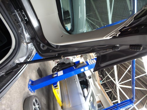 FORD FOCUS HATCH STRUT TAILGATE STRUTS (PAIR), LW-LZ, HATCH, 09/13-11/ ...