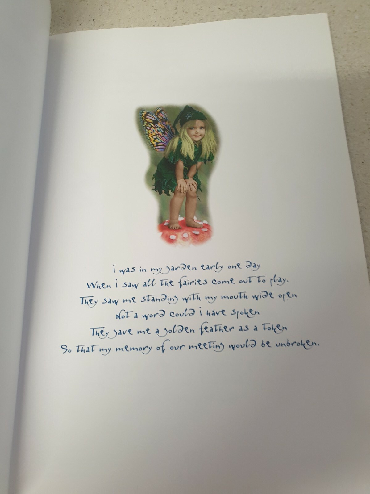 THE SECRET WORLD OF FAIRIES by Bernard Rosa & Janine Fuller - PB - FREE ...