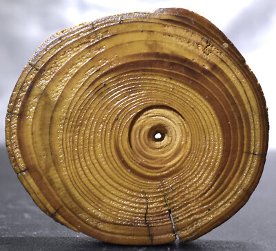 Rustic Wood Slab Sphere Stand 3.28"/36 Grams | eBay