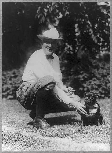 Warren Gamaliel Harding,1865-1923,squatting beside bull terrier,in ...