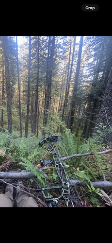 Hoyt vtm 31 compound bow. Origin camo pattern and basically brand new ...