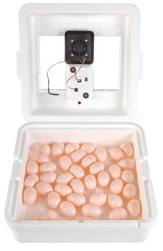 Still Air Incubator For Chicken Eggs Quail Eggs Exotic Bird Eggs ...