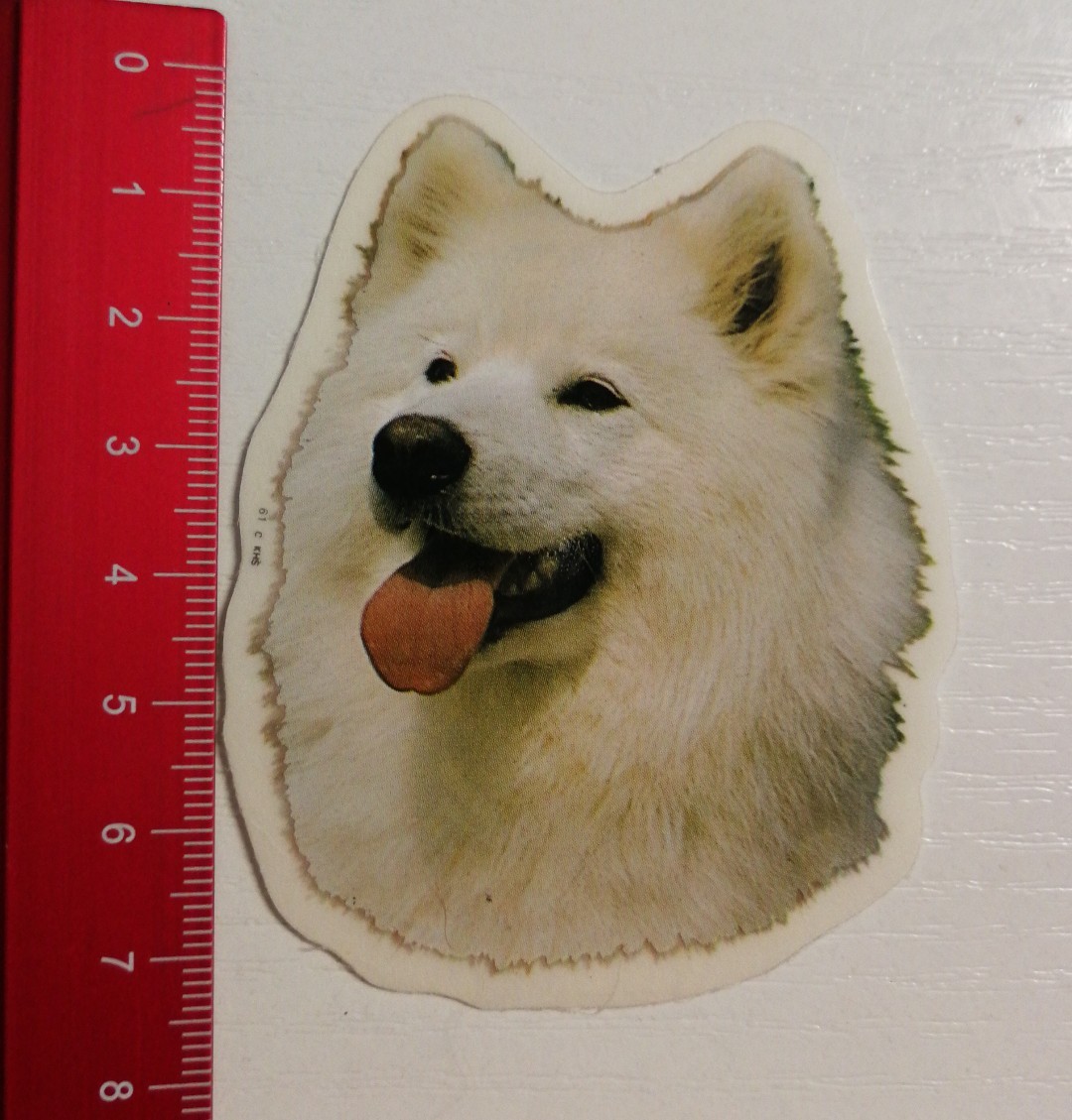 Aufkleber/Sticker: Hund Spitz (030417102) | eBay