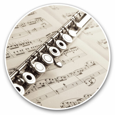 2 x Vinyl Stickers 30cm - Flute Instrument Music Fun Cool Gift #2146 ...