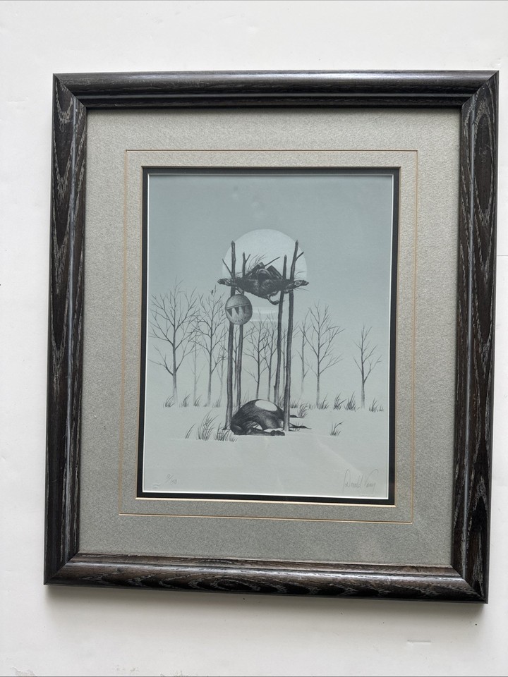 Rare Donald Vann 1985 Signed lithograph #10/150 Mystic Light Framed 18. ...