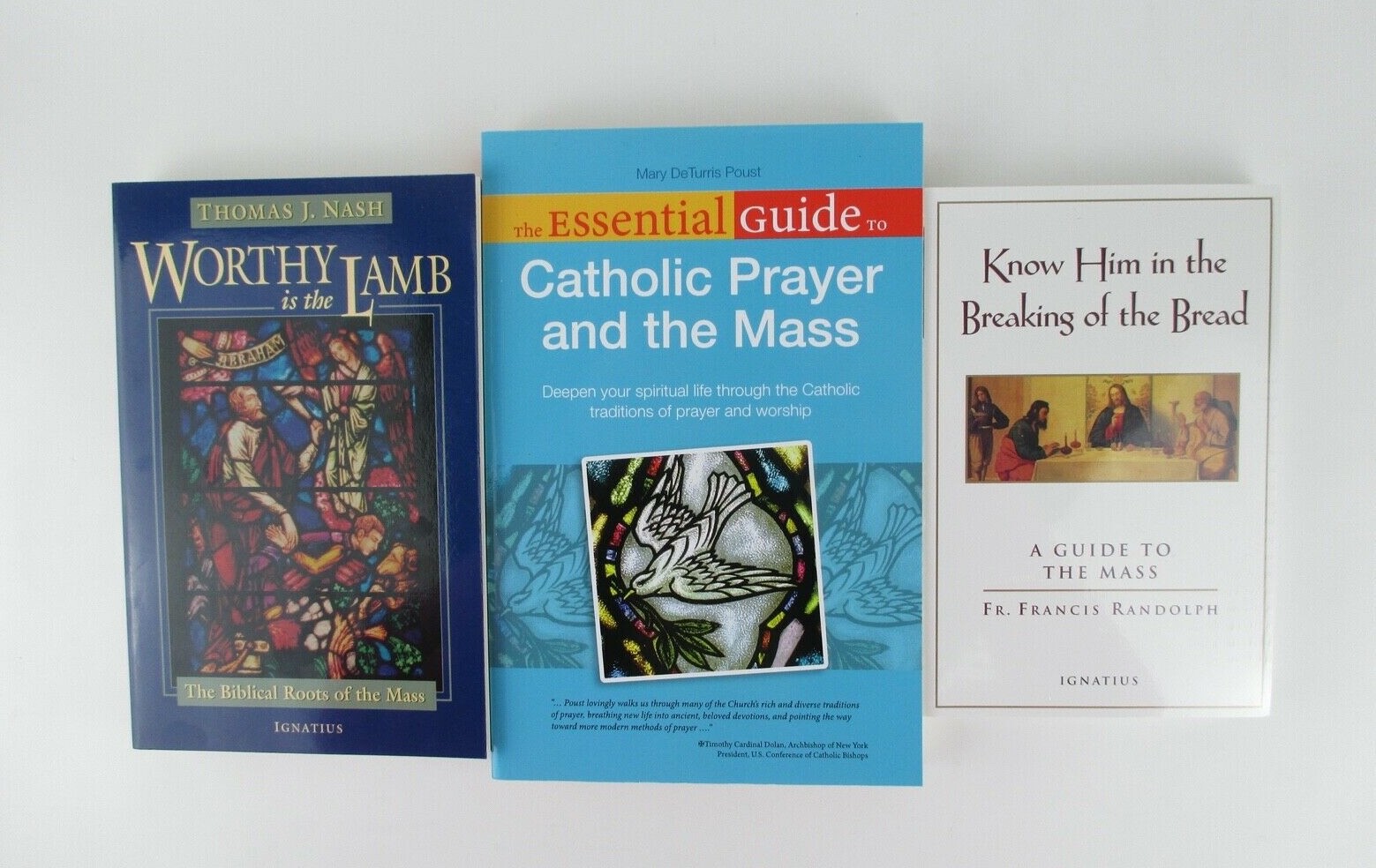 Essential Guide to Catholic Mass - Guide to Mass - Biblical Roots of ...