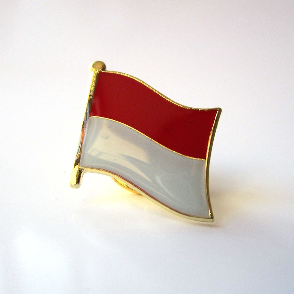 200+ PATRIOTIC COUNTRY National Country Flag Lapel Pin Badge Brooches ...