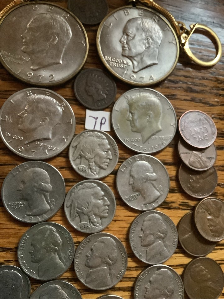 Large Estate Sale Lot Eisenhower Dollars Buffalo Nickels Dimes Indian ...