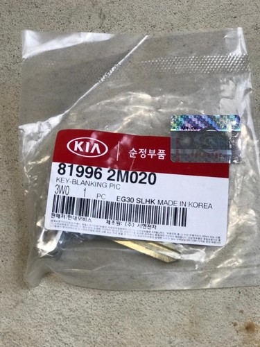 819962M020 KEY BLANK UNCUT GENUINE FOR VARIOUS HYUNDAI & KIA | eBay