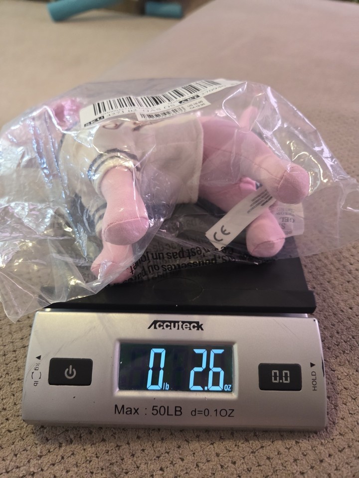 New Sealed Victorias Secret, PINK mini Dog Pink Friday, Varsity Dog | eBay