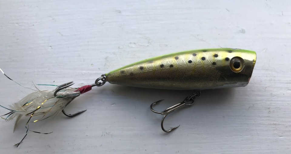 Lobina Lures Rico popper fishing lure | eBay