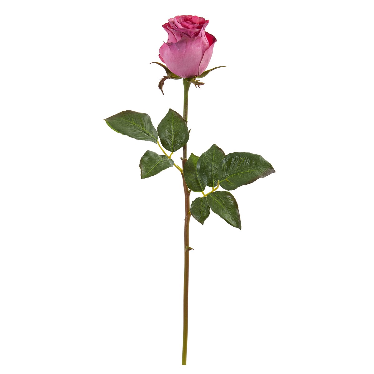 Single Pink Rose Stem
