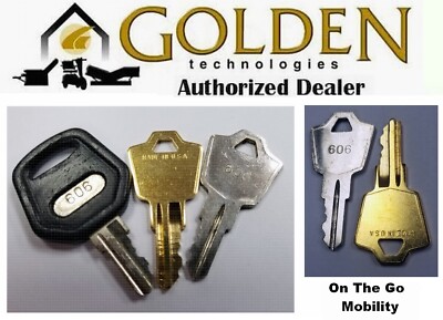 1 KEY - Old Golden Tech Scooters Companion, Buzzaround, LiteRider ...