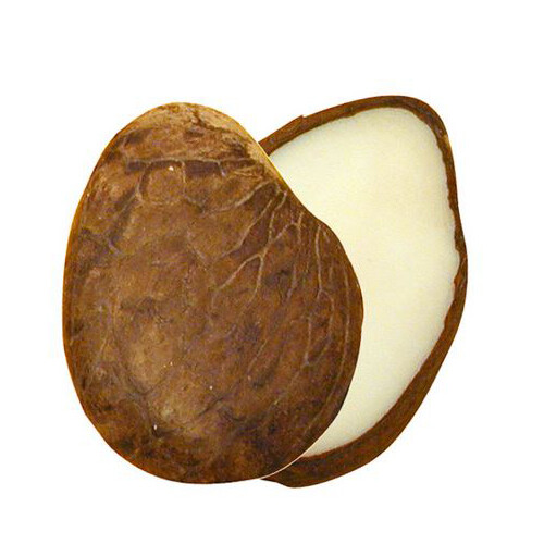 Tagua Nut Slices Produced in Ecuador Fair Trade Jewelry & Ornament ...