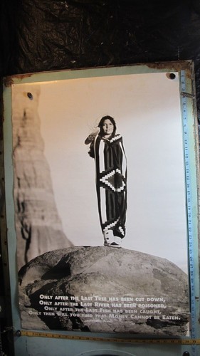 Cree Indian Prophecy Ecology Peace Poster Original Shar Lopez Native ...