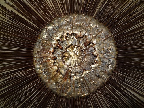 1970s Bertoia Jere William & Bruce Friedle Style Brazed Wire Brutalist ...