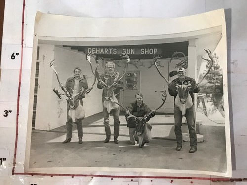 Vintage 1970s Hunting Photo w 4 Large Racks Mounted at Dehart's Gun ...
