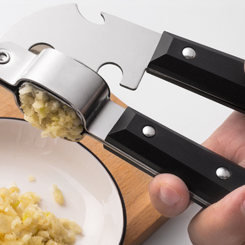 Free Shipping Heavy Duty Stainless Steel Garlic Squeezer Press Crusher ...
