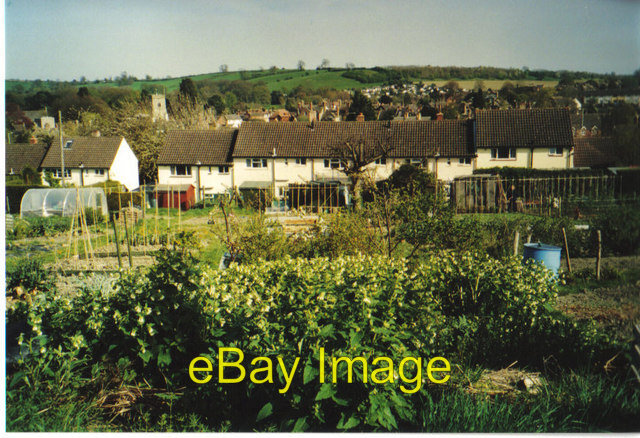 Photo 6x4 The allotments Much Wenlock These allotments are at the back ...