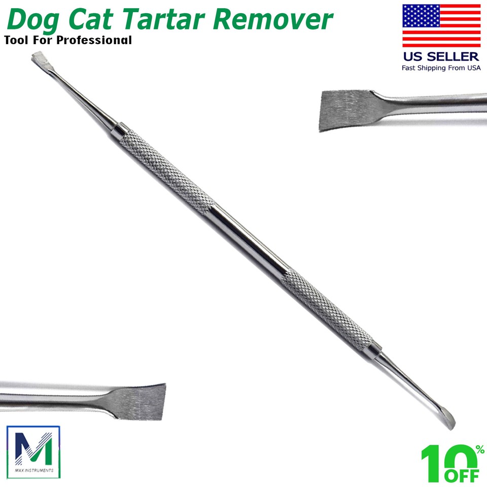 Tartar Calculus Remover Dental Veterinary Dog Pet Tooth Filling ...