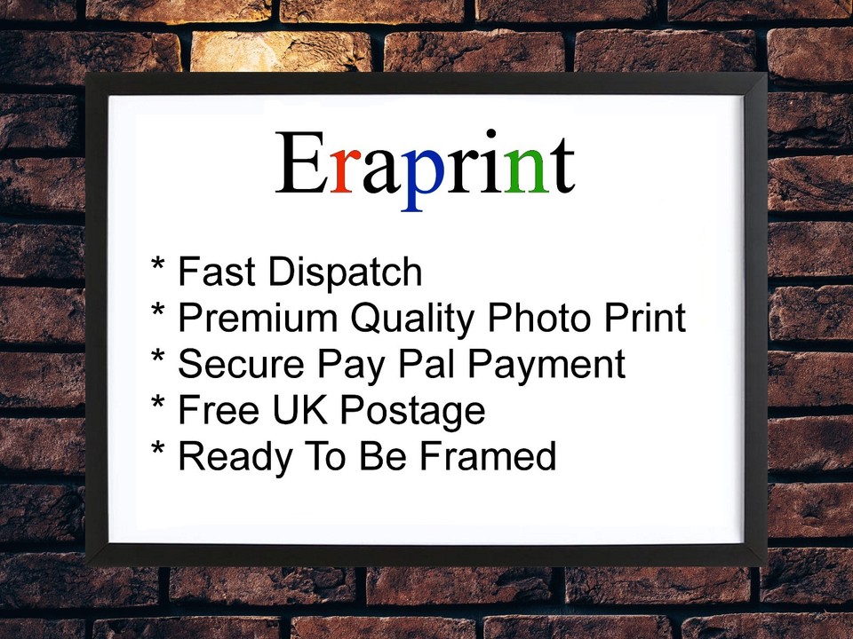 COLUMBO PETER FALK SIGNED LIMITED EDITION AUTOGRAPHED A4 PRINT ...