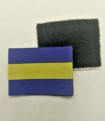 British Army Princess Of Wales Royal Regiment PWRR Combat Jacket/Shirt ...