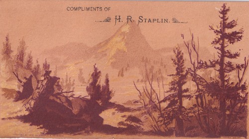 1800s Victorian Trade Card - H R Staplin -Ribbons Laces Satins | eBay