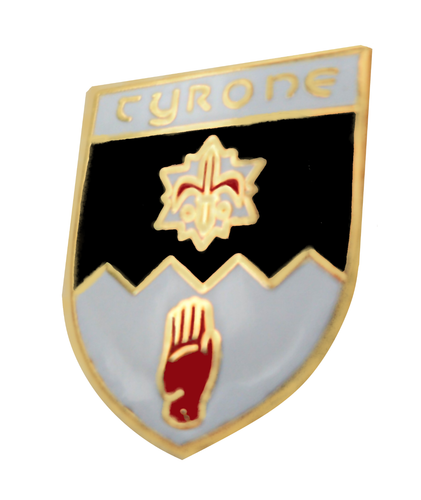 County Tyrone Crest Small Pin Badge | eBay UK