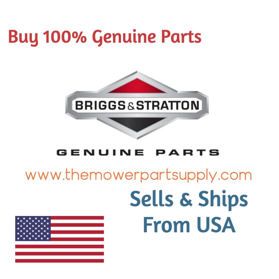 Fuel Filter 845125 Gemuine Briggs & Stratton replaces 695666 OEM | eBay